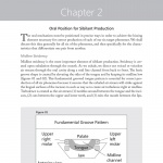 Frontal Lisp, Lateral Lisp: Procedures for Diagnosis and Treatment ...