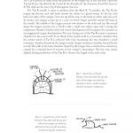 Successful R Therapy: Fixing the Hardest Sound in the World - Marshalla ...