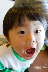 Tracheal Stop: Learning the "Place of Articulation" - Marshalla Speech ...