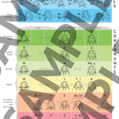 Place Cues for Vowels & Consonants (Poster) - Marshalla Speech & Language
